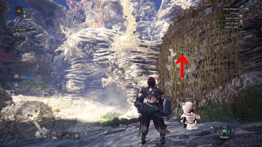 All Coral Highlands Camp Locations in Monster Hunter World | The Nerd Stash