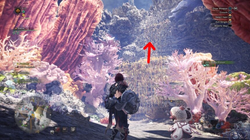 All Coral Highlands Camp Locations in Monster Hunter World | The Nerd Stash