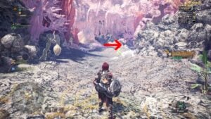 All Coral Highlands Camp Locations in Monster Hunter World | The Nerd Stash