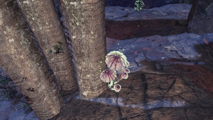 Where To Find Gourmet Shroomcaps in Monster Hunter World | The Nerd Stash