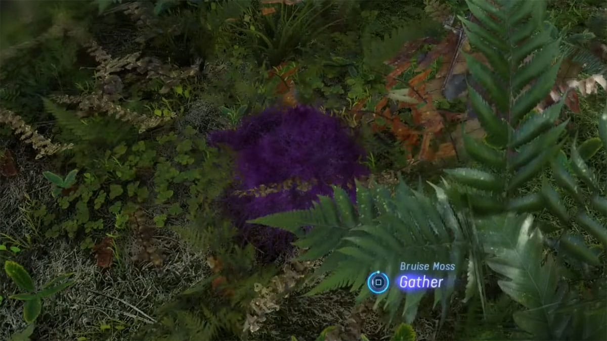 Where To Find Bruise Moss in Avatar: Frontiers of Pandora | The Nerd Stash