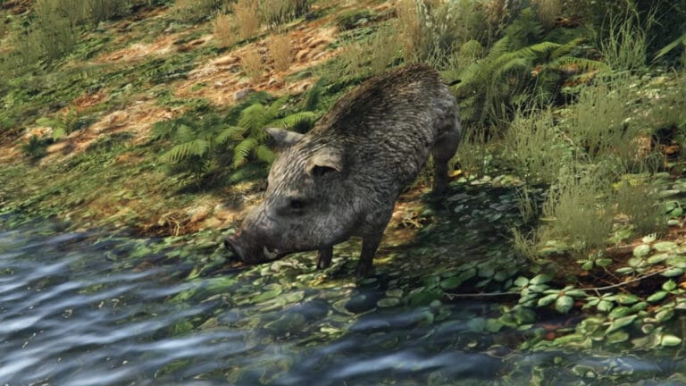 All Animal Wildlife Photography Locations in GTA Online | The Nerd Stash