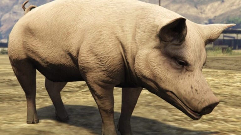 All Animal Wildlife Photography Locations in GTA Online | The Nerd Stash