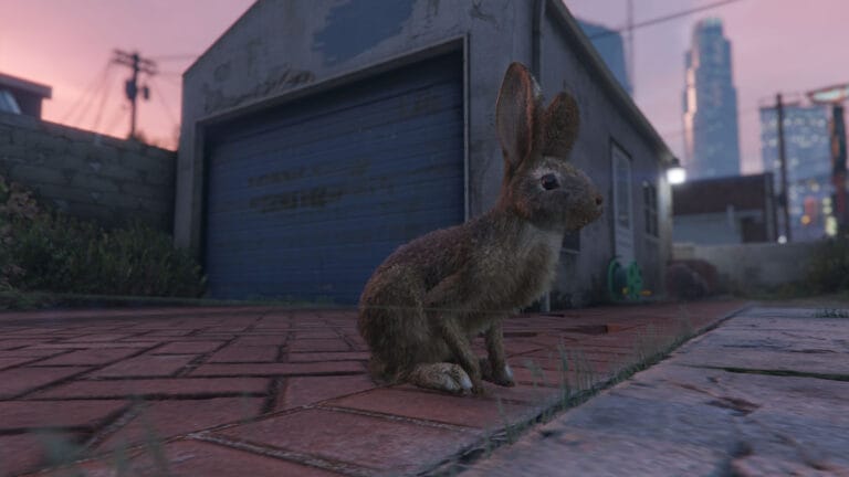 All Animal Wildlife Photography Locations in GTA Online | The Nerd Stash