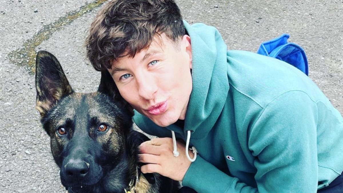 Barry Keoghan Delights Fans With a Flirty Reveal About Saltburn Co-Star ...