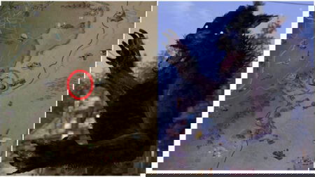 How To Find All Cryptids in Fallout 76 | The Nerd Stash