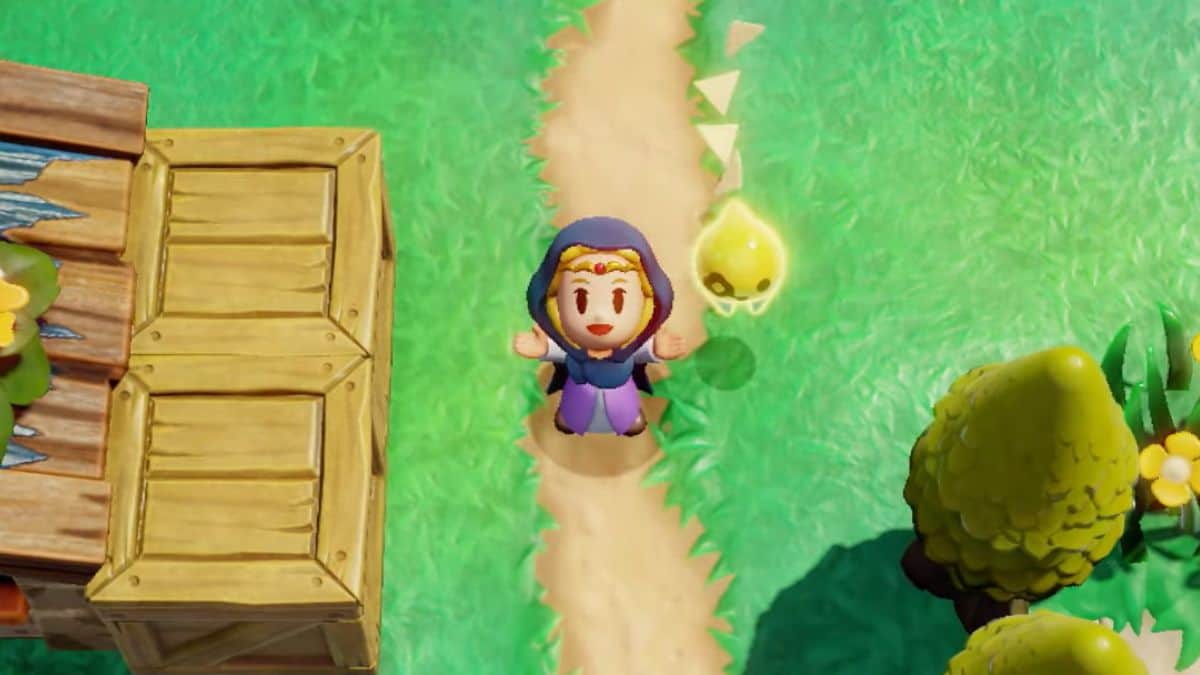 We're Finally Getting Playable Zelda in The Legend of Zelda: Echoes of ...