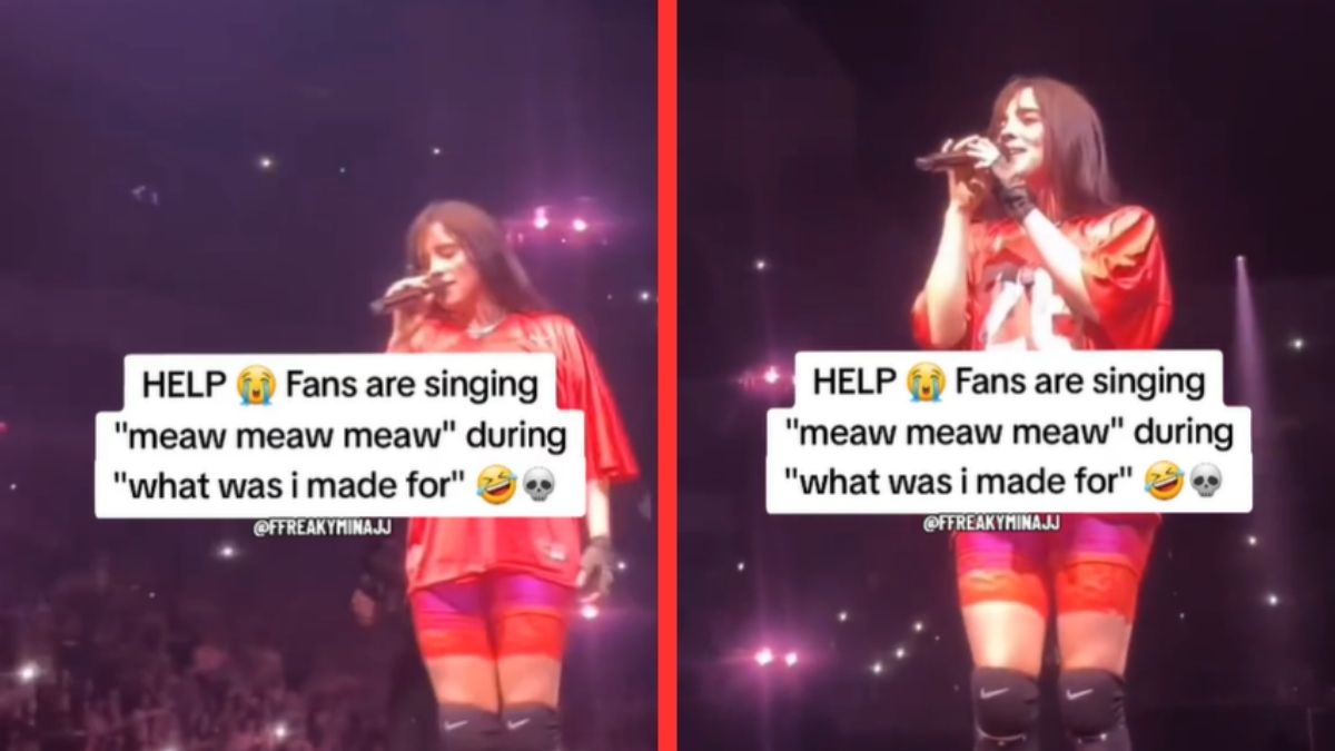 Fans Meow Along To What Was I Made For At Billie Eilish Concert Shes Trying So Hard Not To