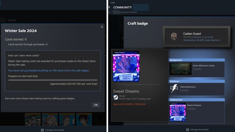 How To Get Steam Winter Sale 2024 Trading Cards Now Discovery Queues Don't Drop Them | The Nerd ...