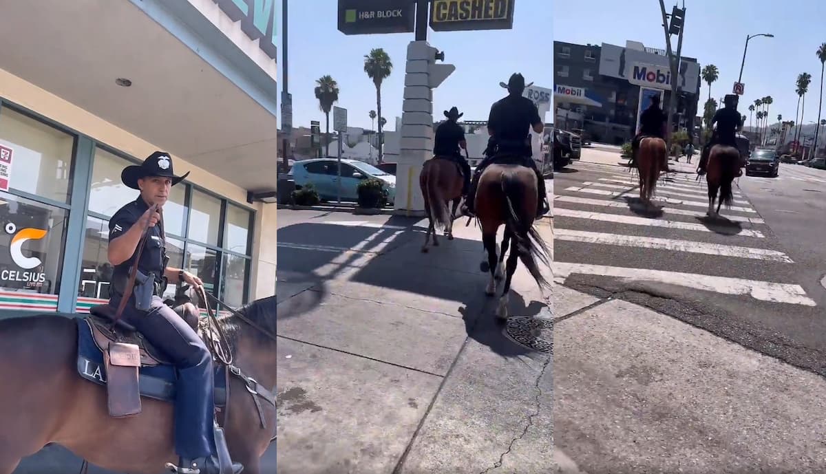 L.A. Man Shreds Cowboy Cops in Wild Viral Rant: 'I See Animals Riding ...